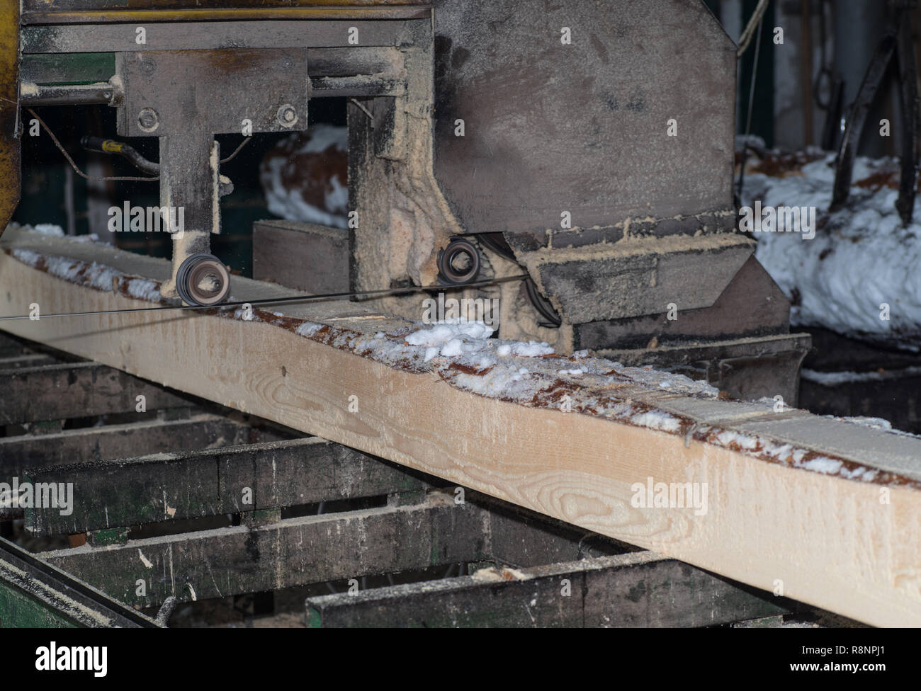 Cutting logs on the boards. In the winter process a tree.Wood ...