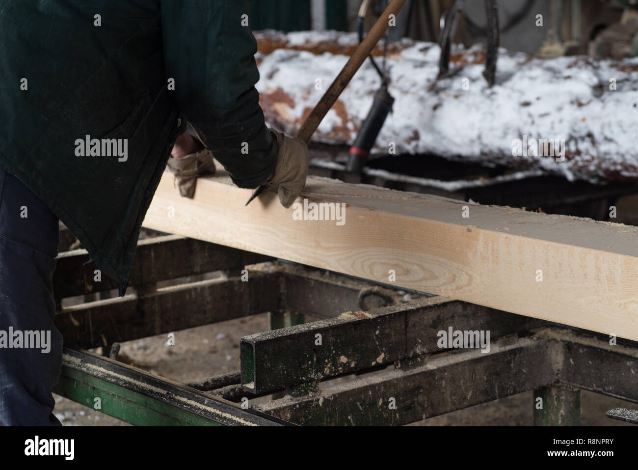 Cutting logs on the boards. In the winter process a tree.Wood ...