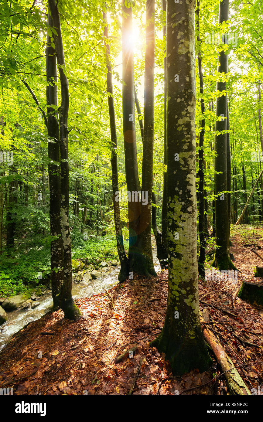 Hump creek hi-res stock photography and images - Alamy