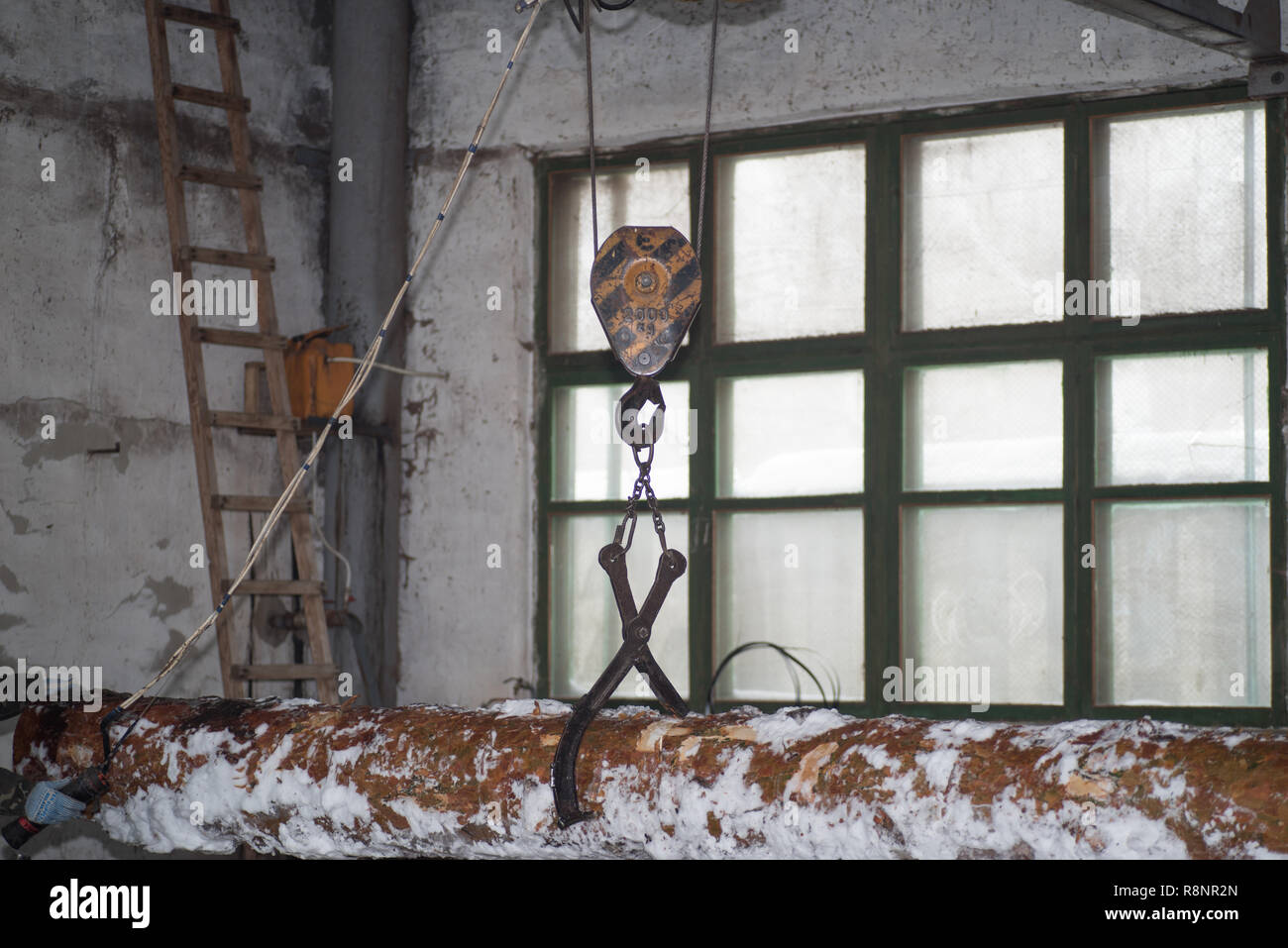 Cutting logs on the boards. In the winter process a tree.Wood ...