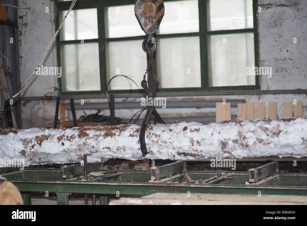 Cutting logs on the boards. In the winter process a tree.Wood ...