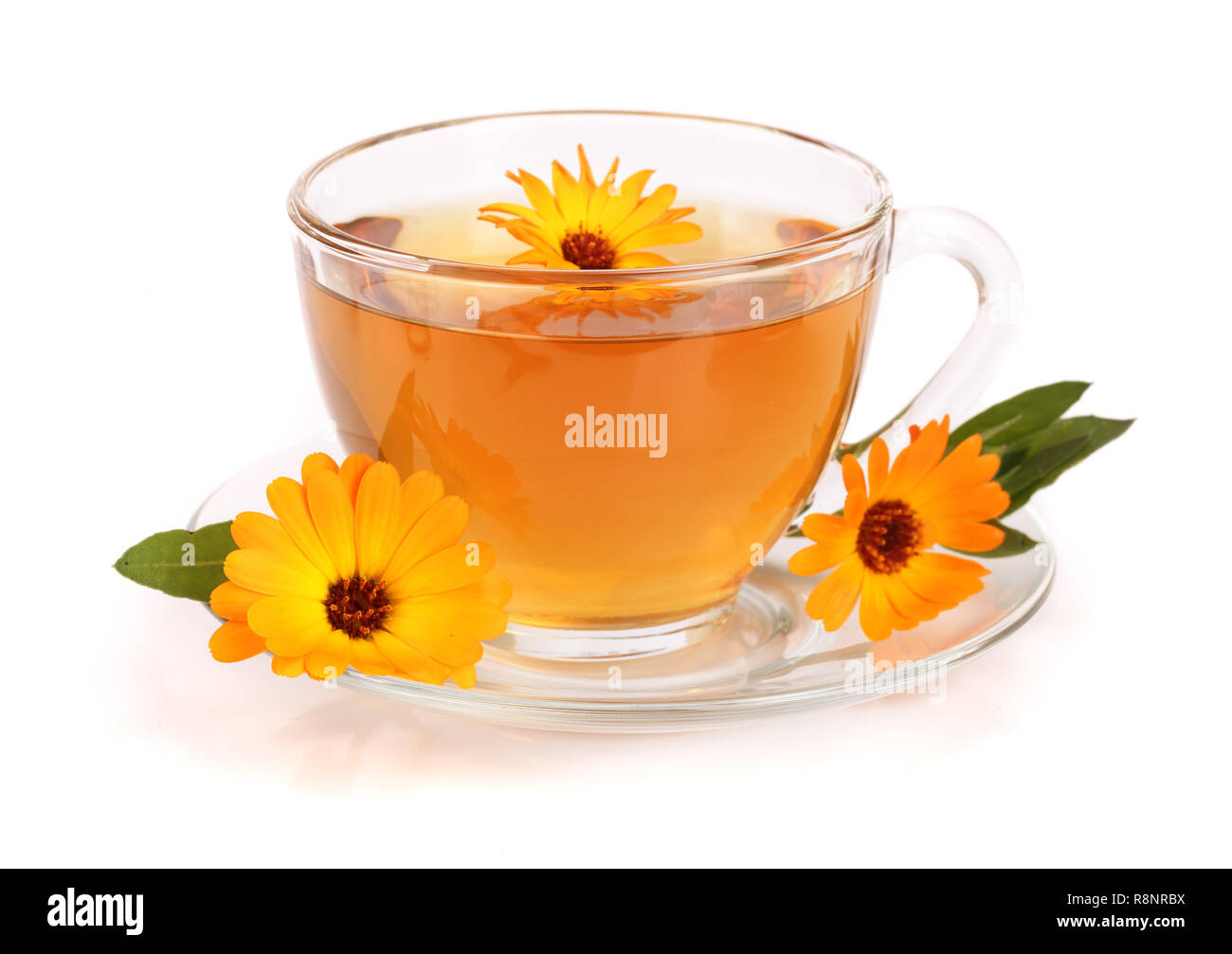 Calendula plant hi-res stock photography and images - Alamy