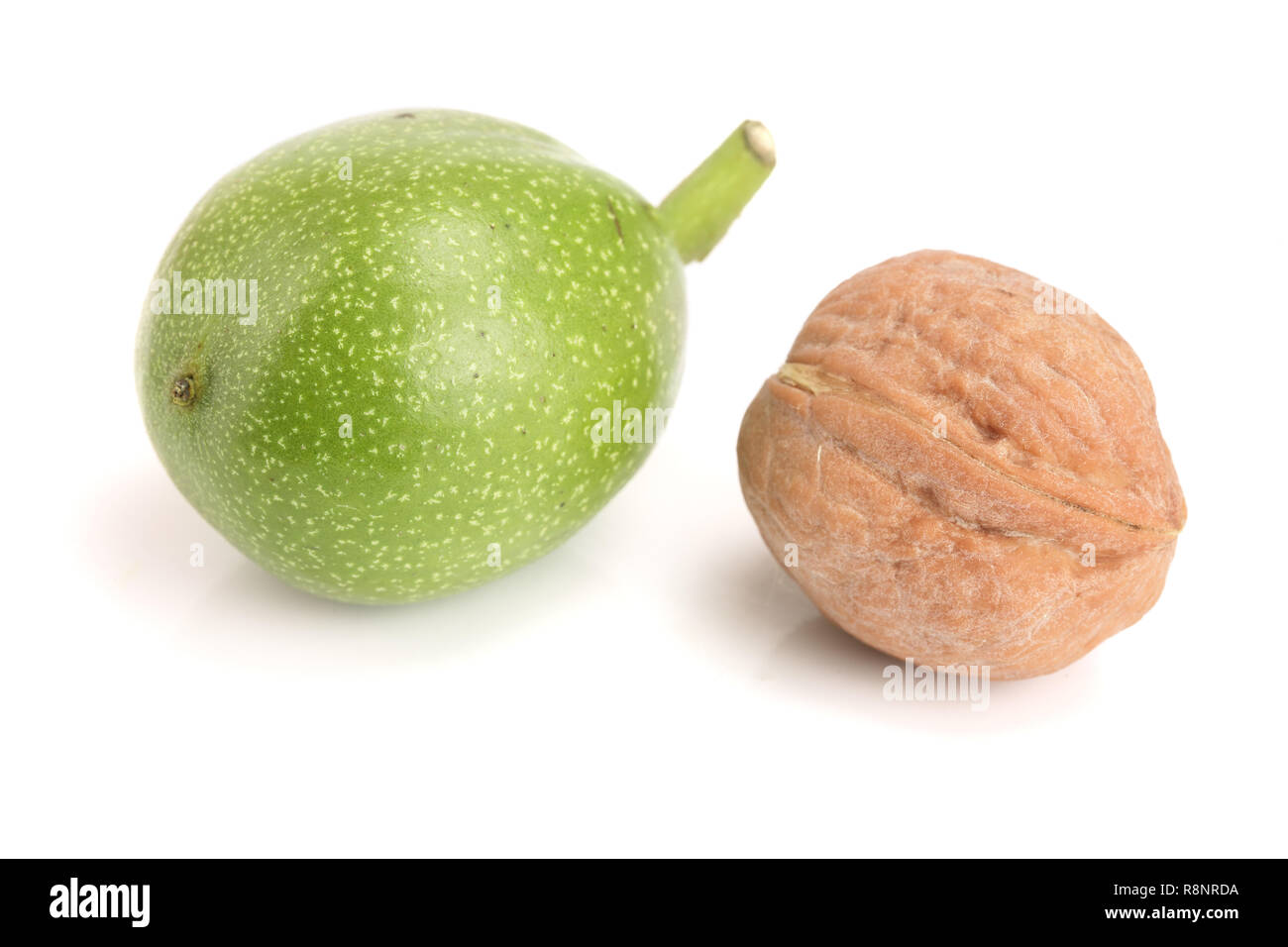fresh walnuts in peel isolated on white background Stock Photo - Alamy