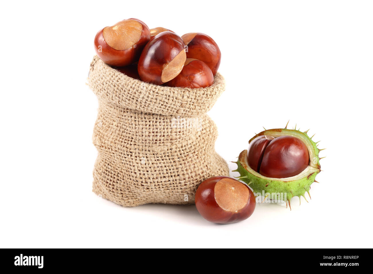 chestnut in a bag isolated on white background closeup Stock Photo - Alamy