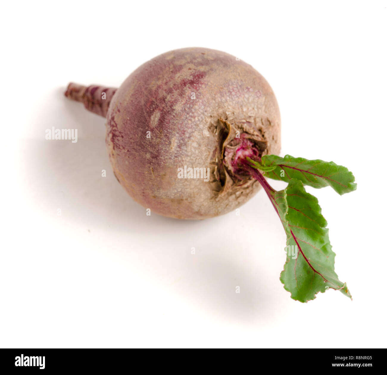 Beetroot with leaf isolated on white background Stock Photo - Alamy