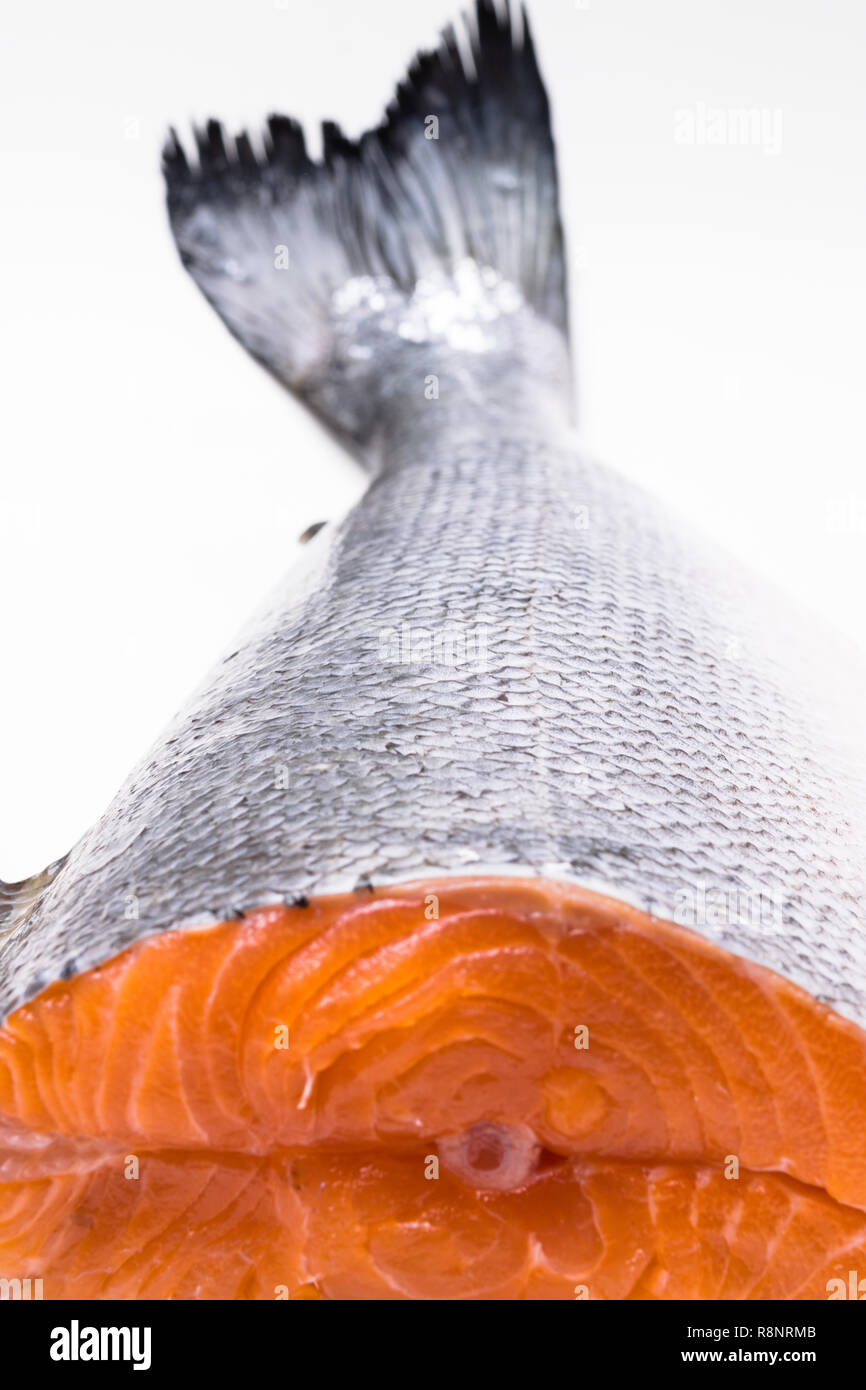 Fresh raw salmon red fish isolated on white background Stock Photo - Alamy