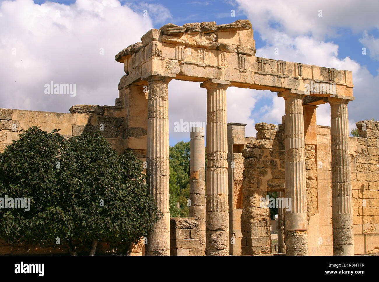 Libya, Cyrene. Ruins of Cyrene Necropolis. Unesco World Heritage Site ...