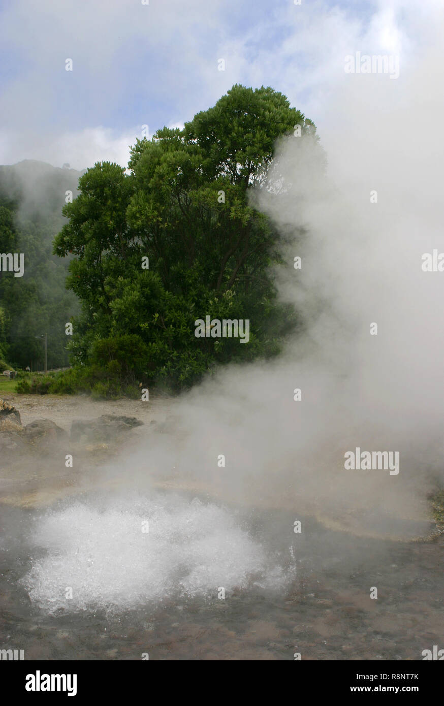 Wild splash from a bubbling volcanic spring in Furnas, Ponta Delgada ...