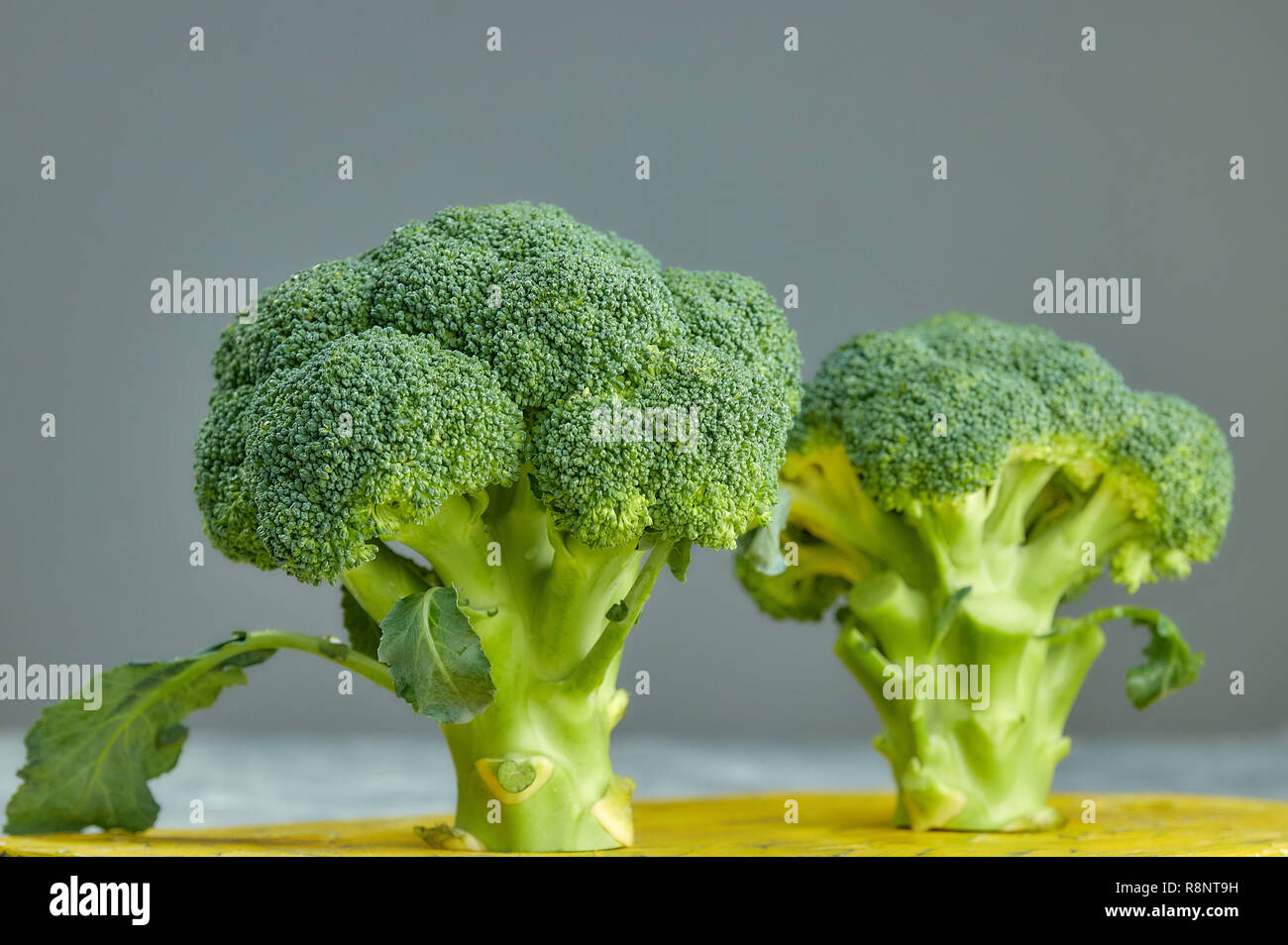 two heads of healthy salad. fresh green broccoli. horizontal view of ...