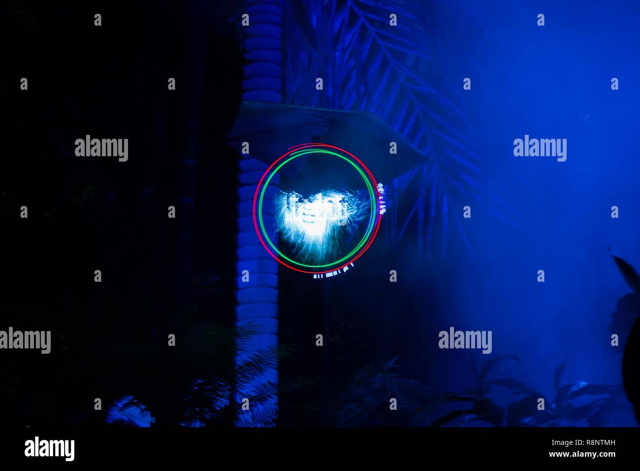 lights in the forest. night garden experience Stock Photo - Alamy