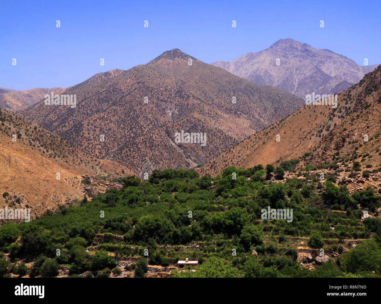 Morocco Marrakesh The High Atlas Mountain range and a fertile river ...