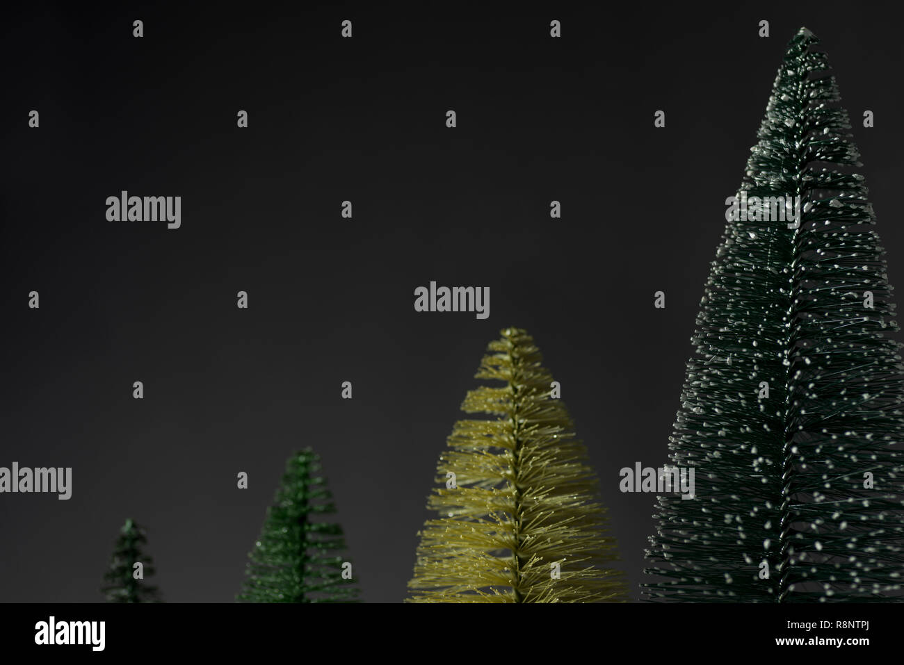 Four pine trees on a black background Stock Photo - Alamy