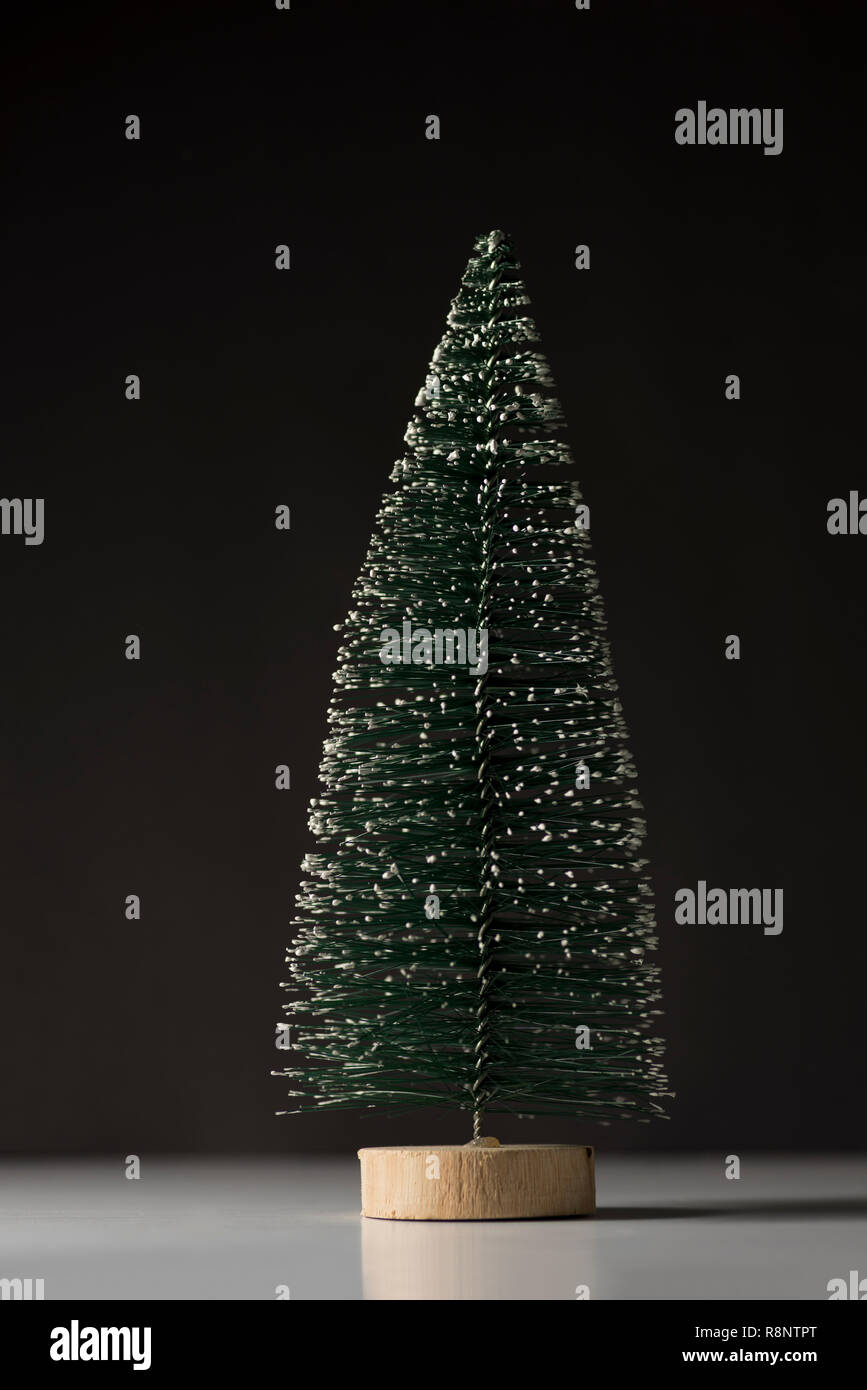 Tree pine black color hi-res stock photography and images - Alamy