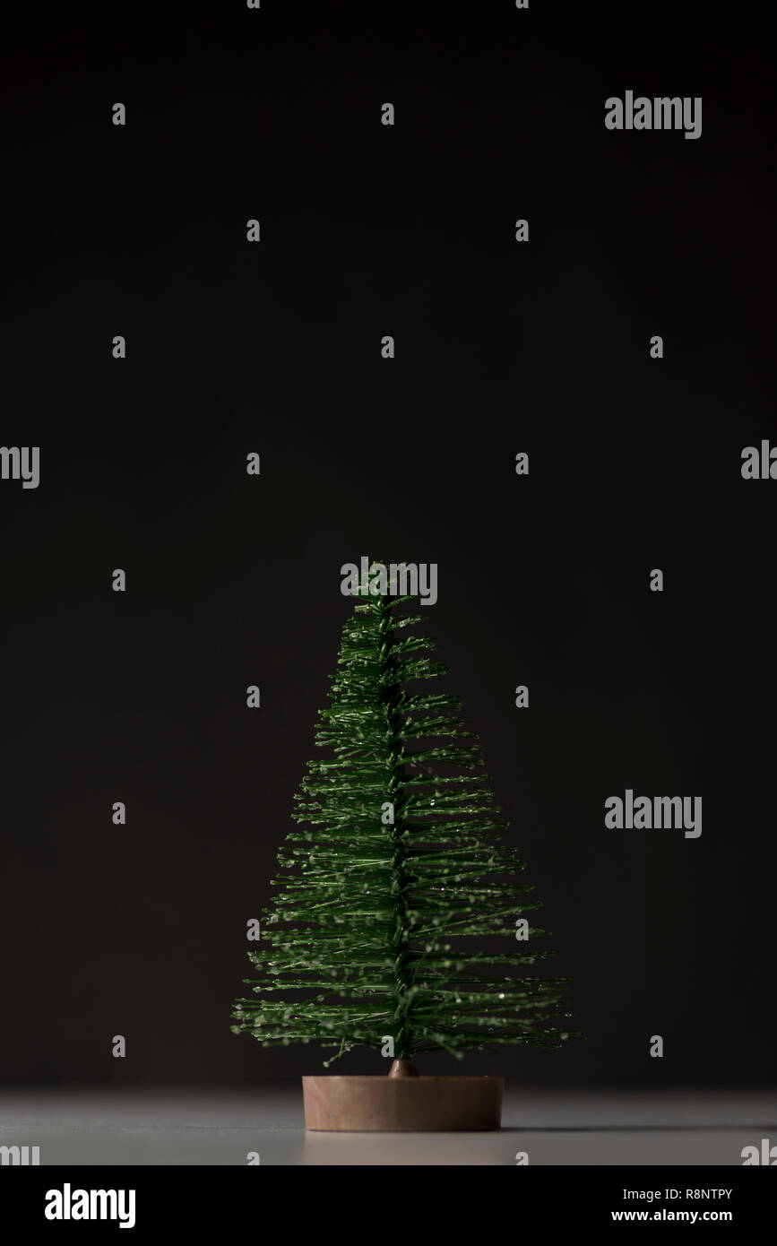 One pine tree on a black background Stock Photo - Alamy