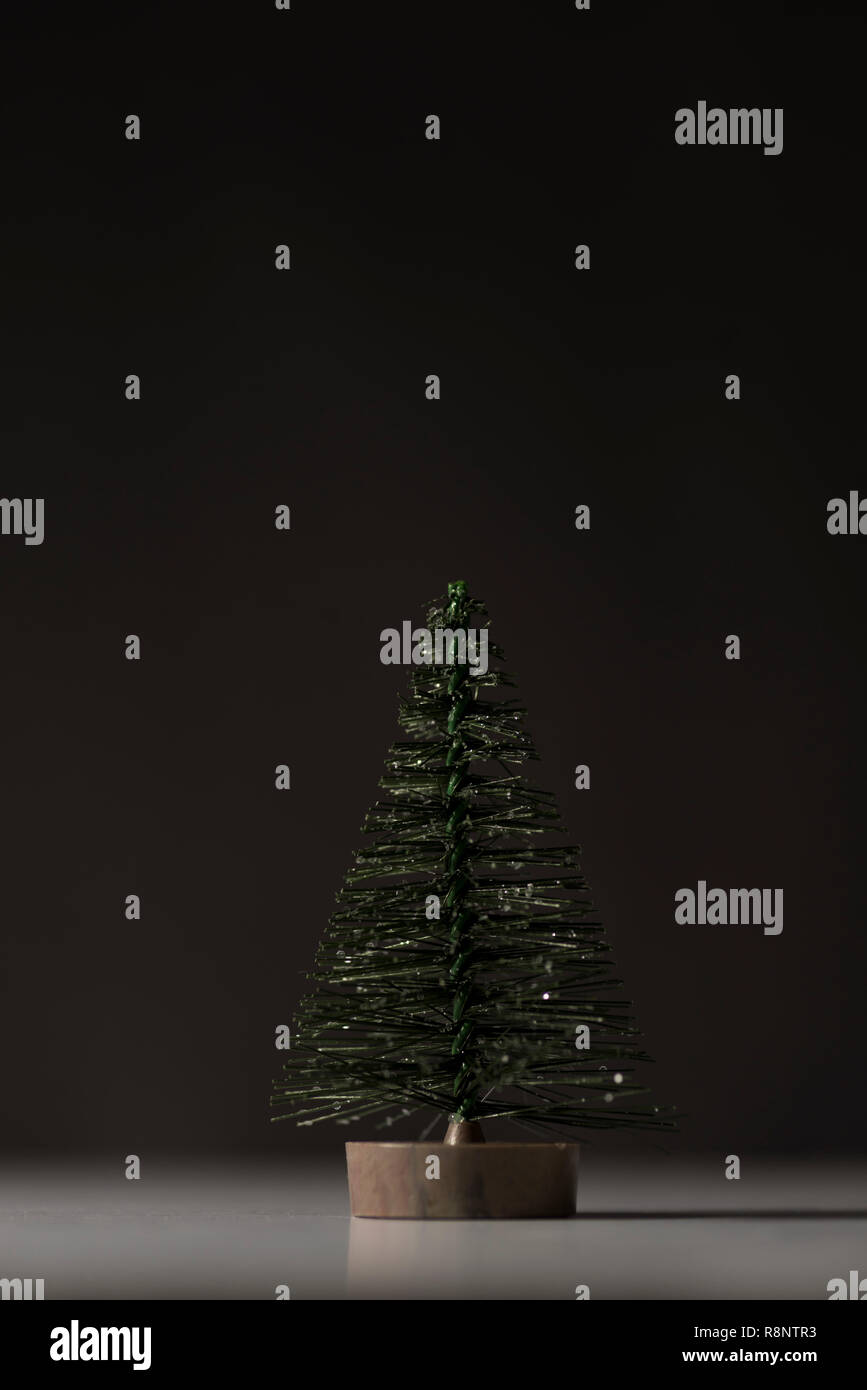 One pine tree on a black background Stock Photo - Alamy