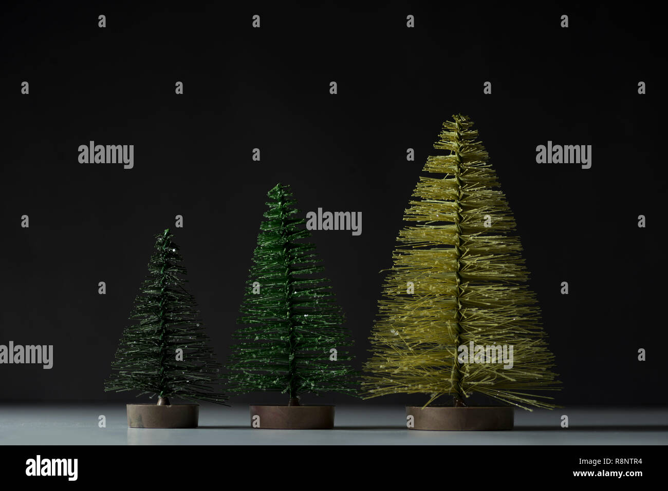 Pine trees christmas new hi-res stock photography and images - Alamy