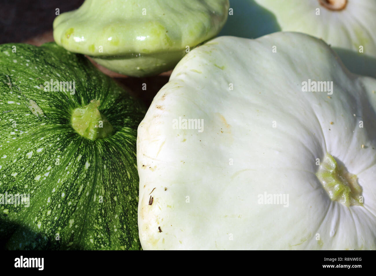 Patty pan squash hi-res stock photography and images - Alamy