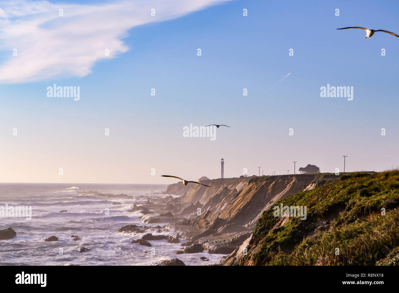 Point Arena Lighthouse Stock Photo - Alamy