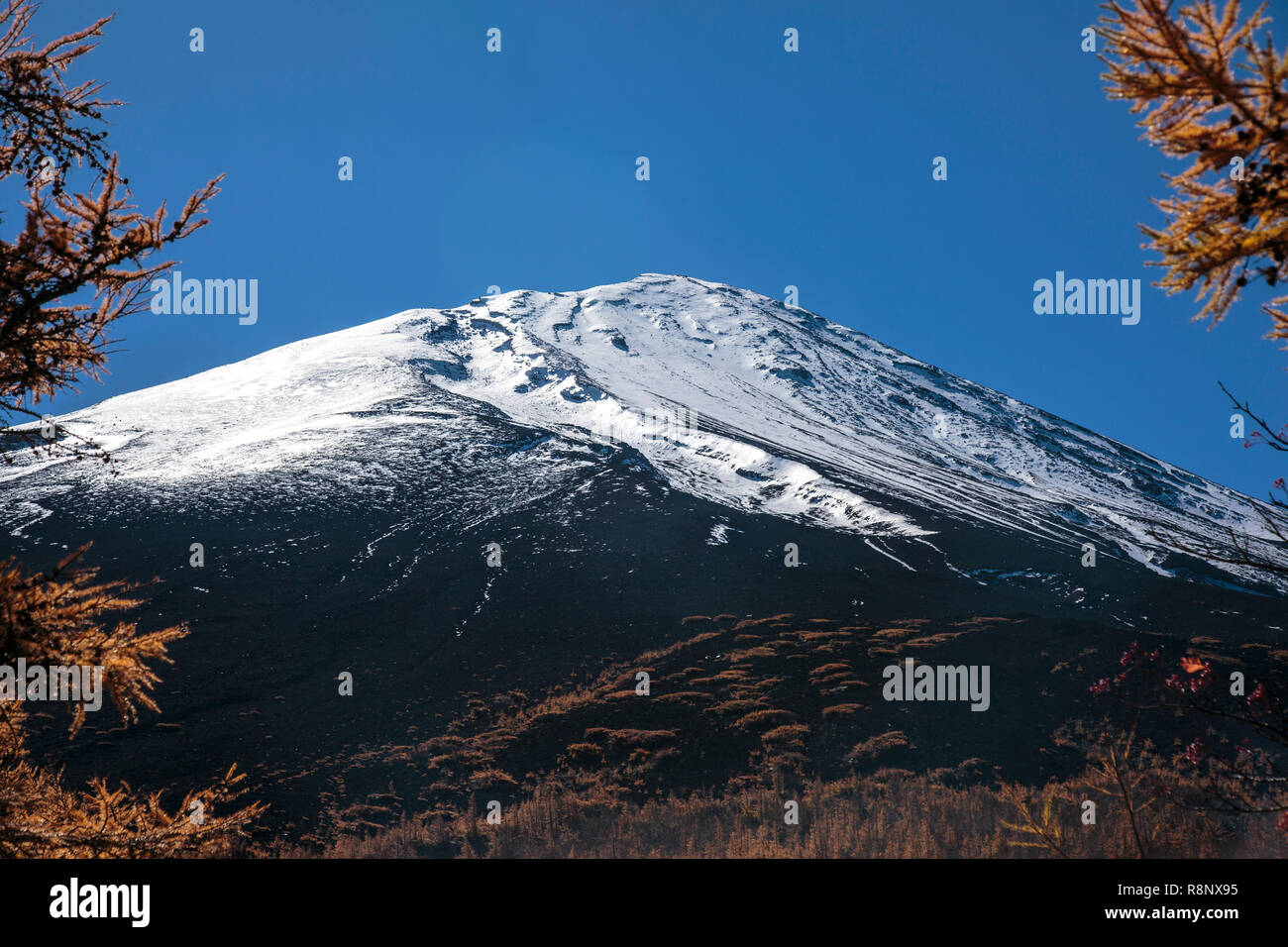 Iconic view mt fuji hi-res stock photography and images - Alamy