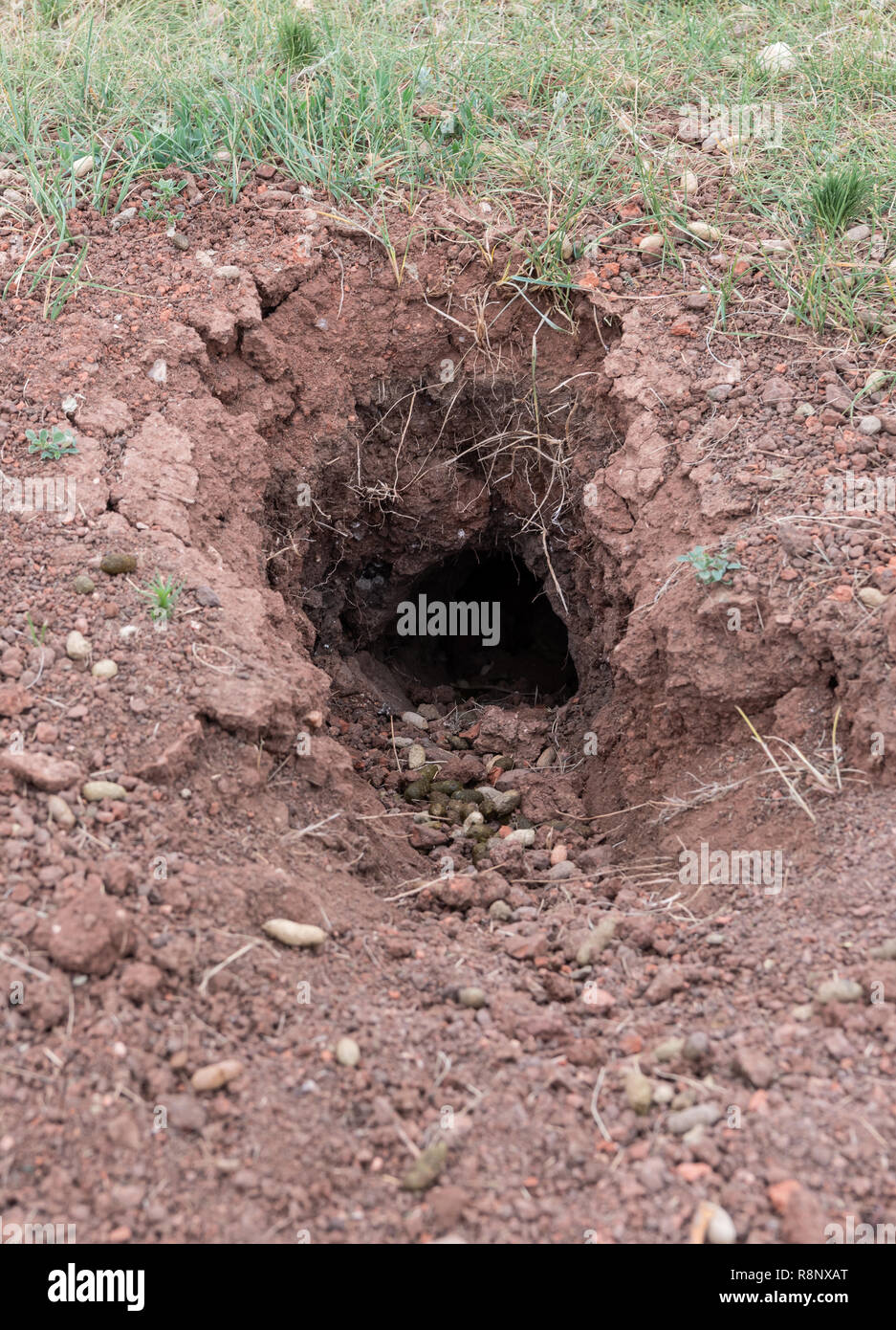 Black hole trail hi-res stock photography and images - Alamy