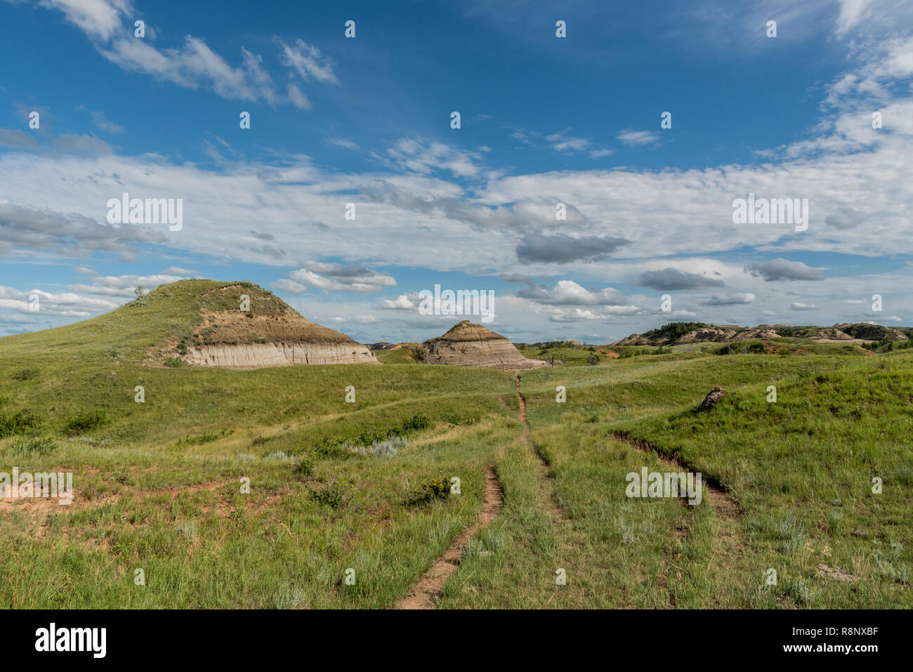 Buffalo Paths Over Prarie in Northern Badlands Region Stock Photo - Alamy