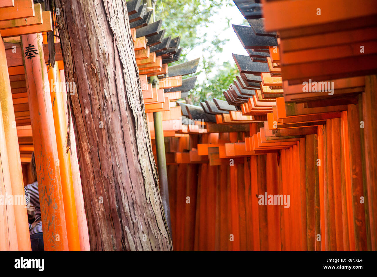 Yotsutsuji intersection hi-res stock photography and images - Alamy