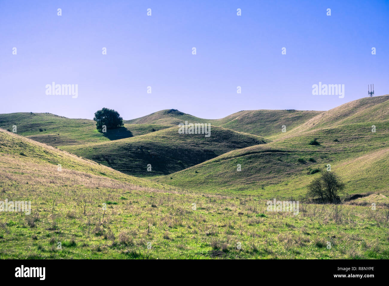 Rolling green hills and blue sky in Sunol Regional Wilderness, east San ...