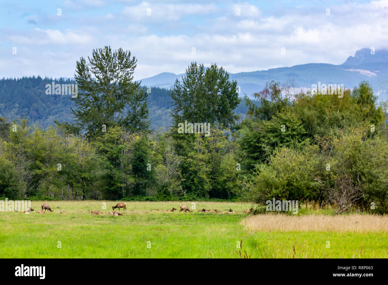Overcast skys hi-res stock photography and images - Alamy