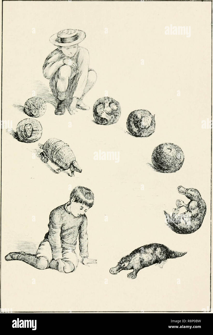 "Four-handed folk" (1896 Stock Photo - Alamy