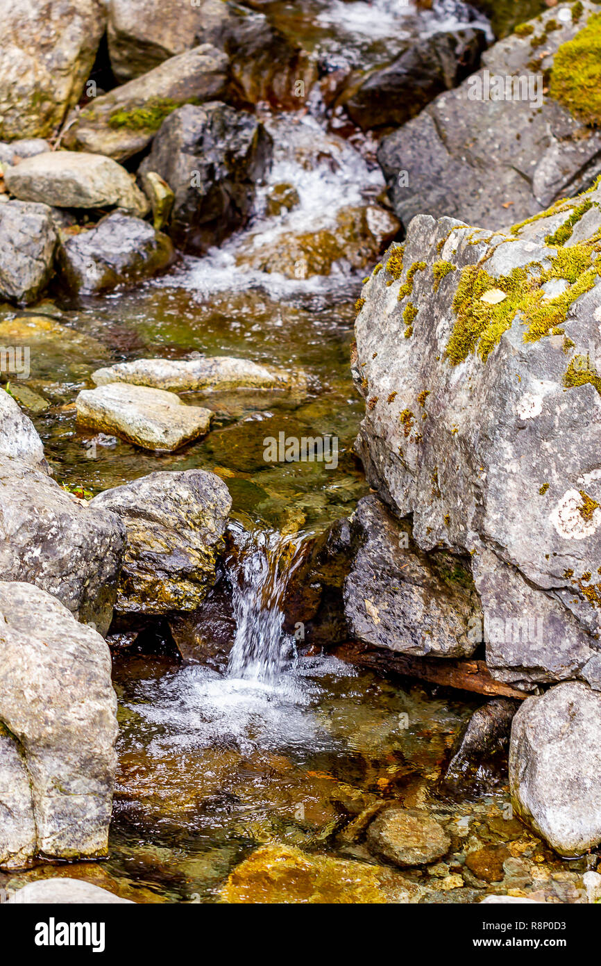 stones with moss on them and stream flowing through Stock Photo - Alamy