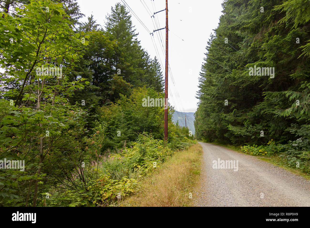 Pacific power transmission line hi-res stock photography and images - Alamy