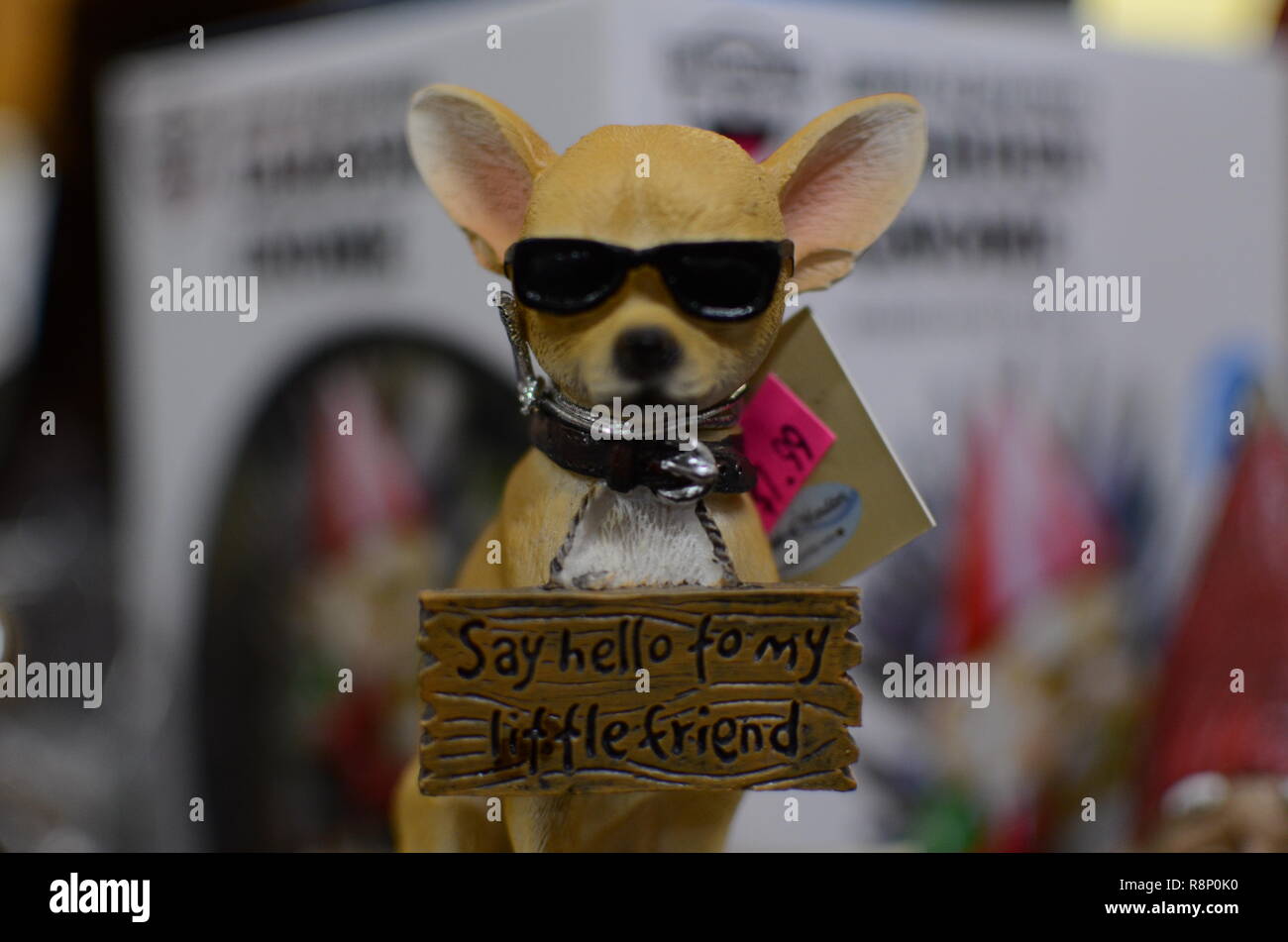 Cool dog saying hi Stock Photo - Alamy