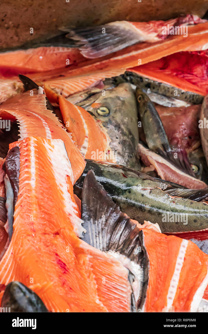 Processed seafood from fishing hi-res stock photography and images - Alamy