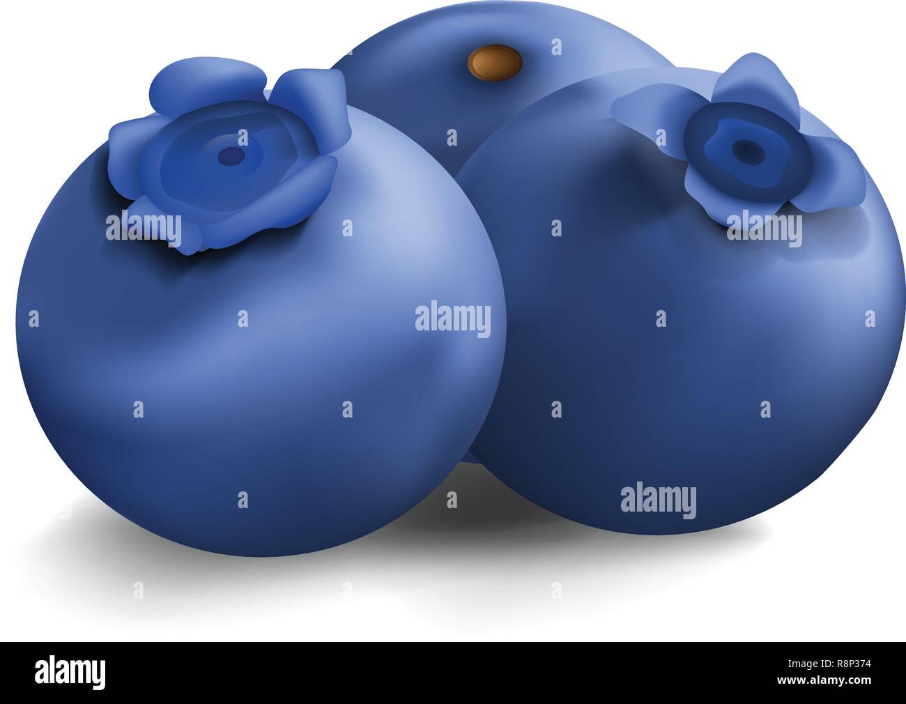 Blueberry icon, realistic style Stock Vector Image & Art - Alamy