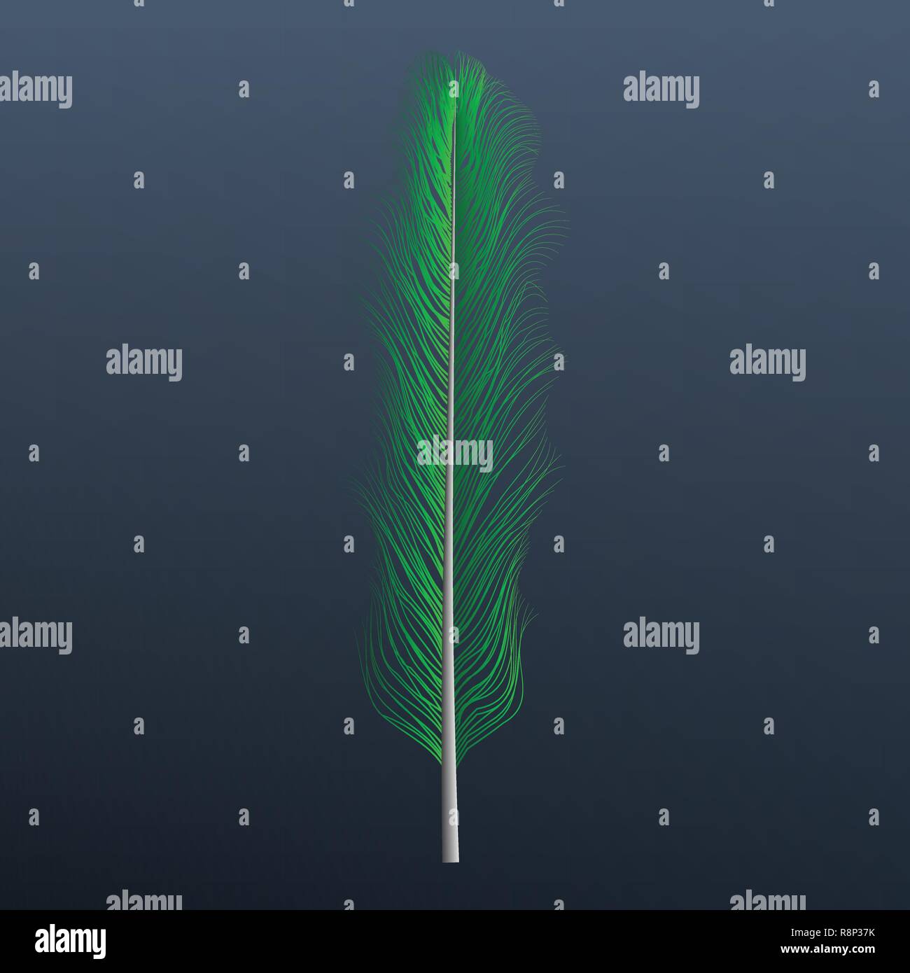 Green feather icon, realistic style Stock Vector Image & Art - Alamy