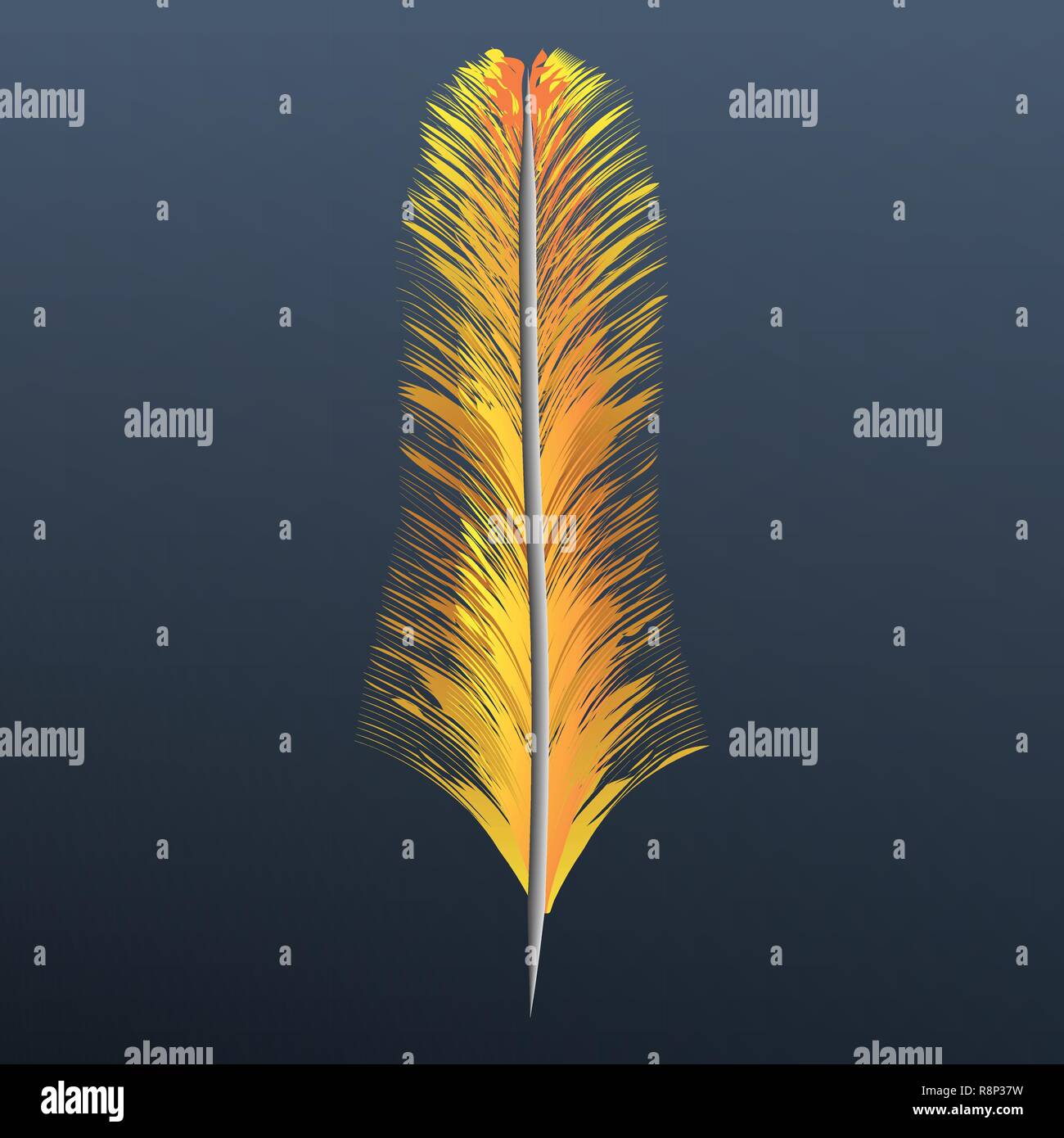 Orange feather icon, realistic style Stock Vector Image & Art - Alamy