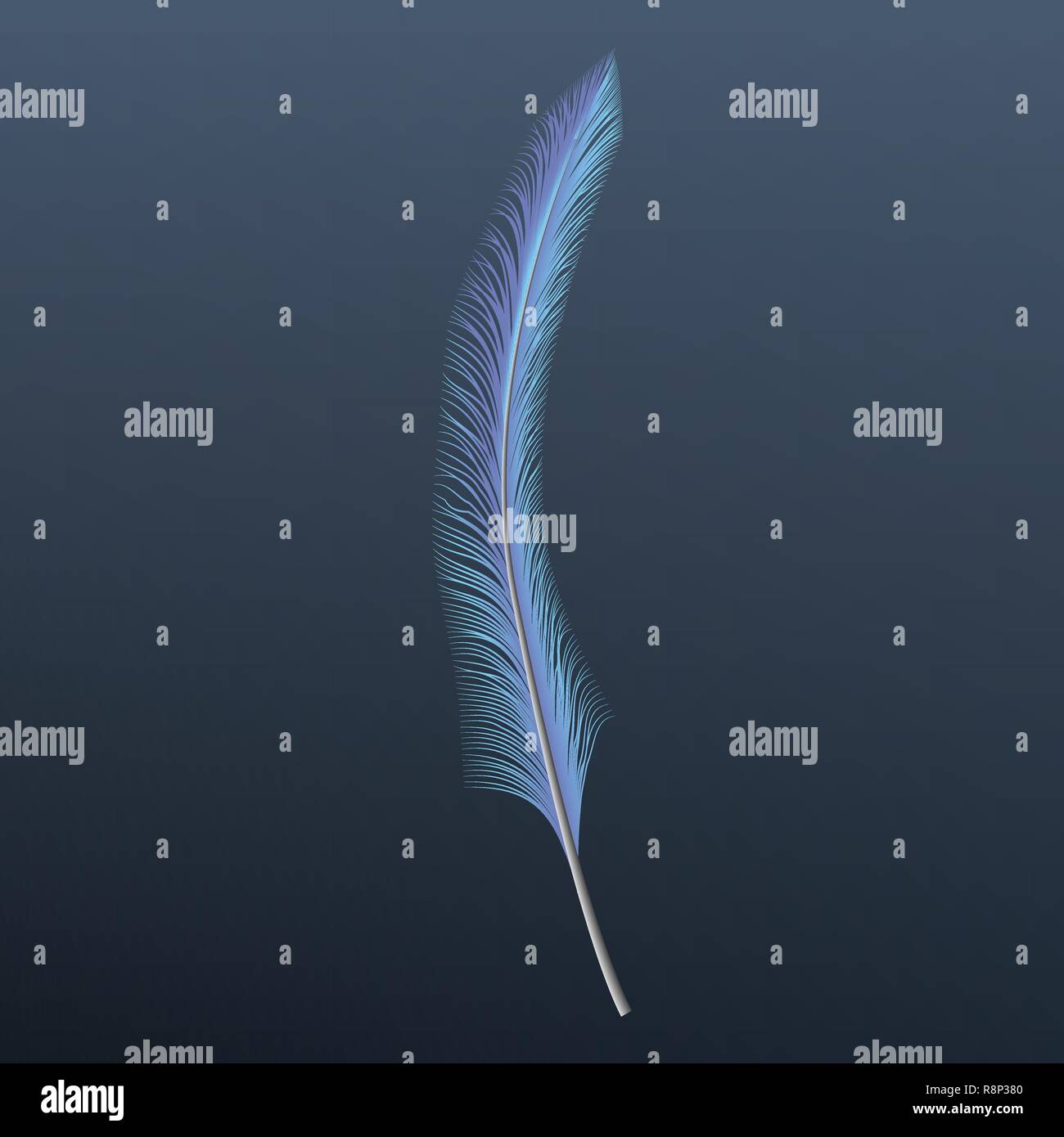 Blue Feather High Resolution Stock Photography and Images - Alamy