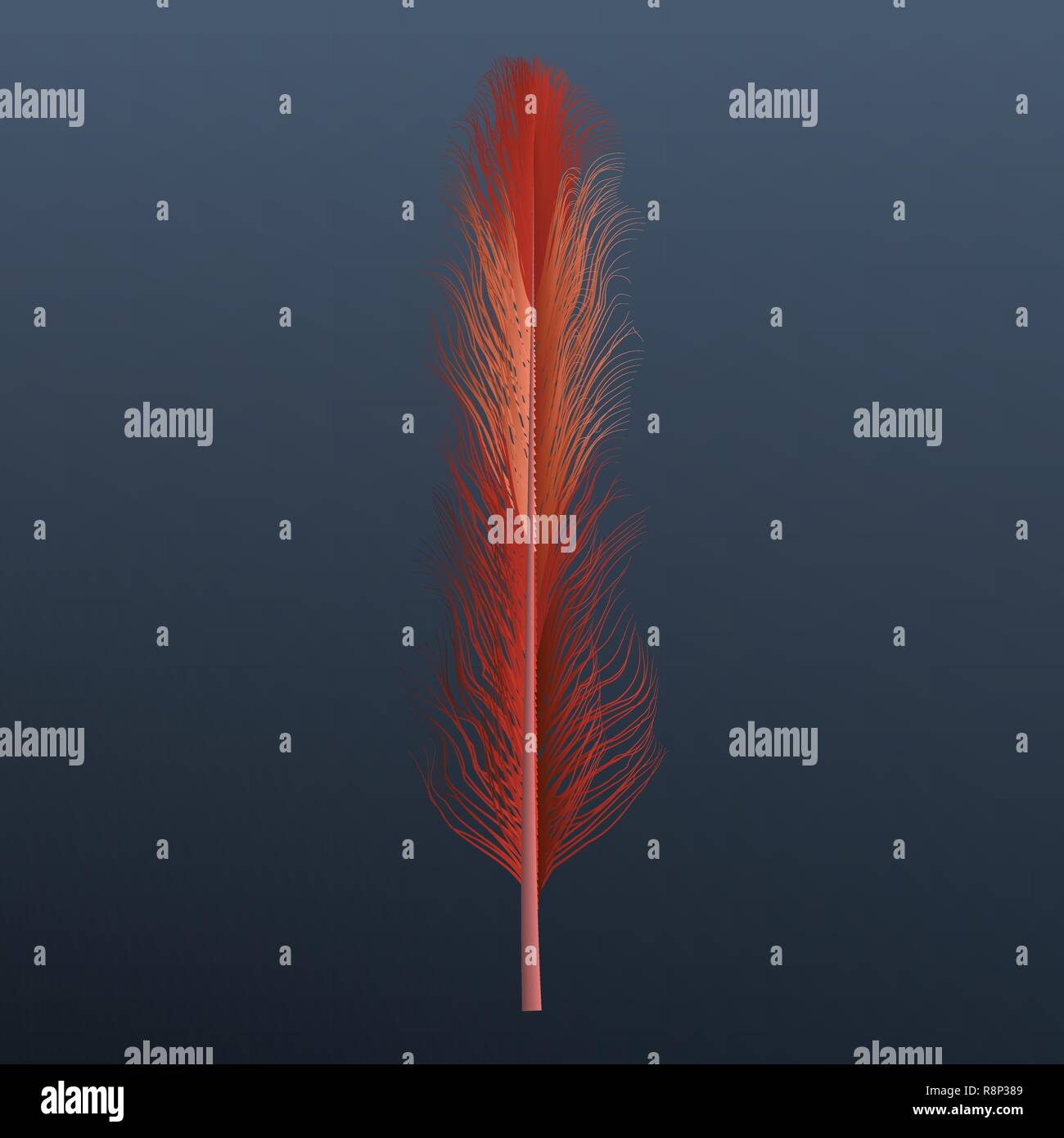 Red abstract feather icon, realistic style Stock Vector Image & Art - Alamy