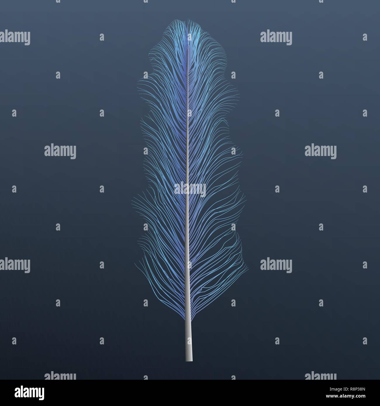 Light blue feather icon, realistic style Stock Vector Image & Art - Alamy