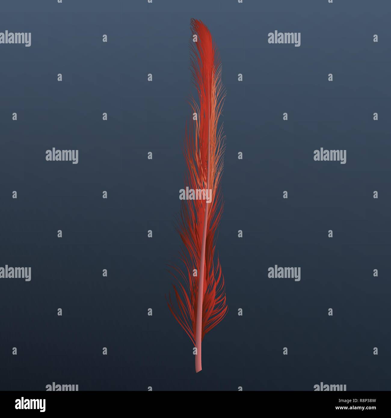Small red feather icon, realistic style Stock Vector Image & Art - Alamy