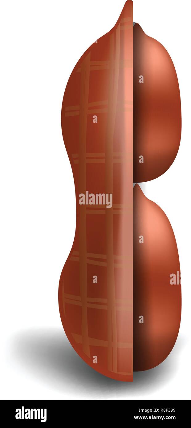 Half peanut in shell icon, realistic style Stock Vector Image & Art - Alamy