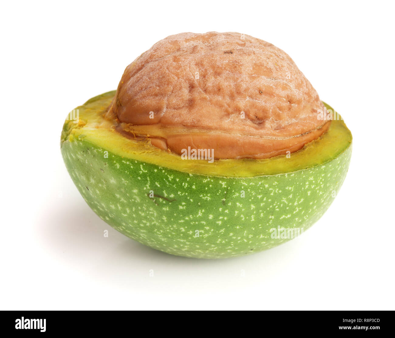 fresh walnut in peel isolated on white background Stock Photo - Alamy