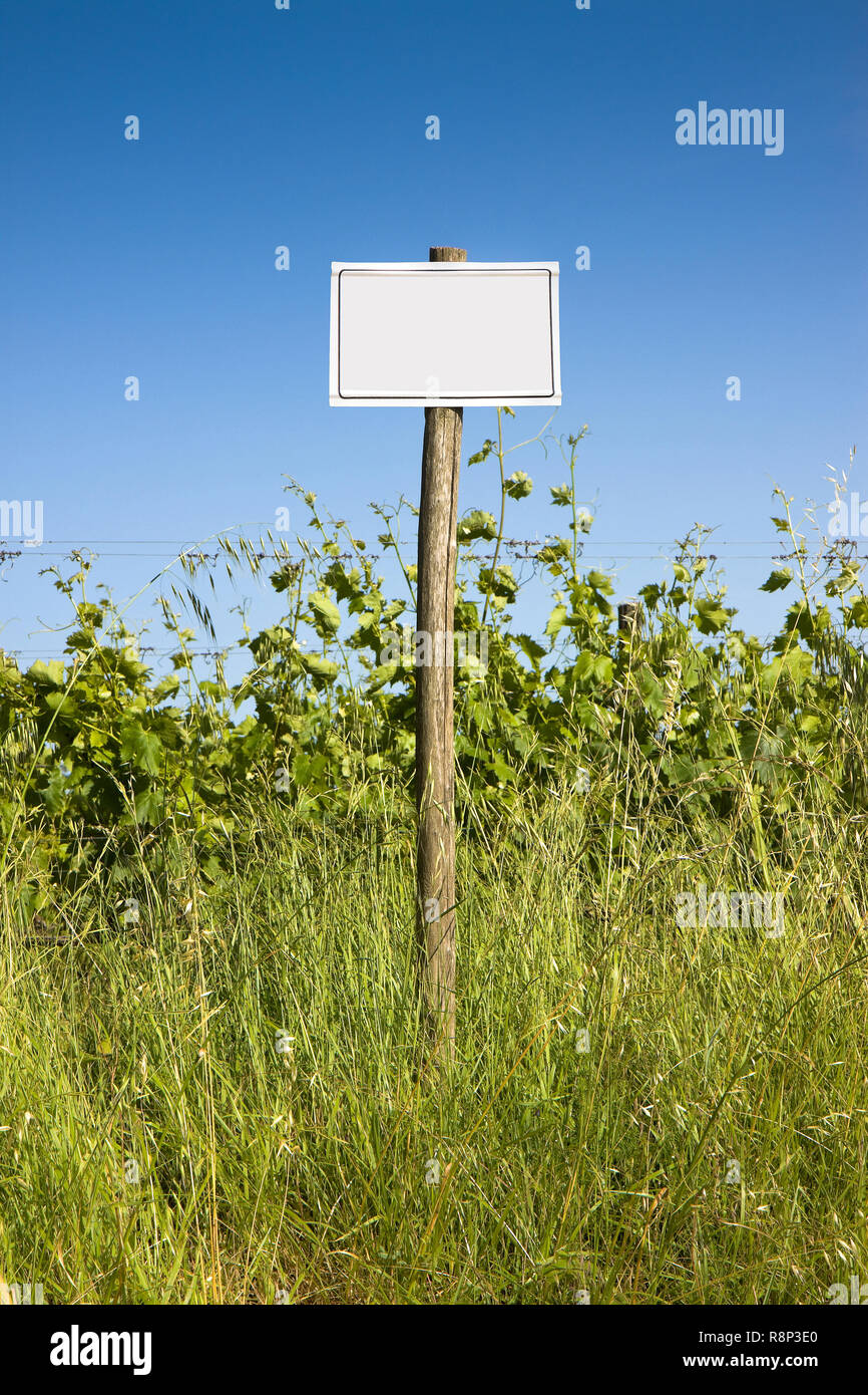 Blank sign indicating in the countryside with copy space Stock Photo ...