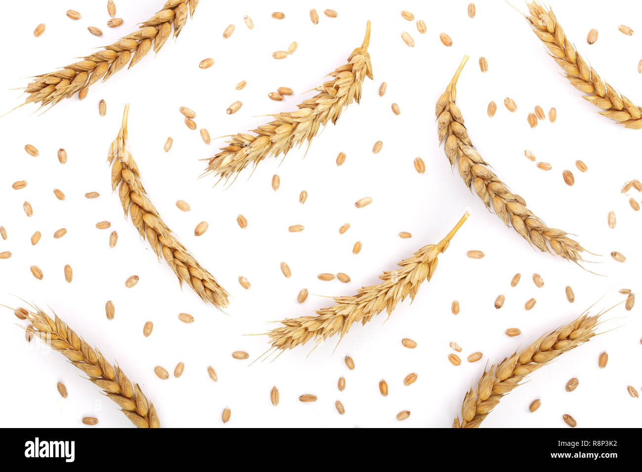 grain and ears of wheat isolated on white background. Top view Stock ...