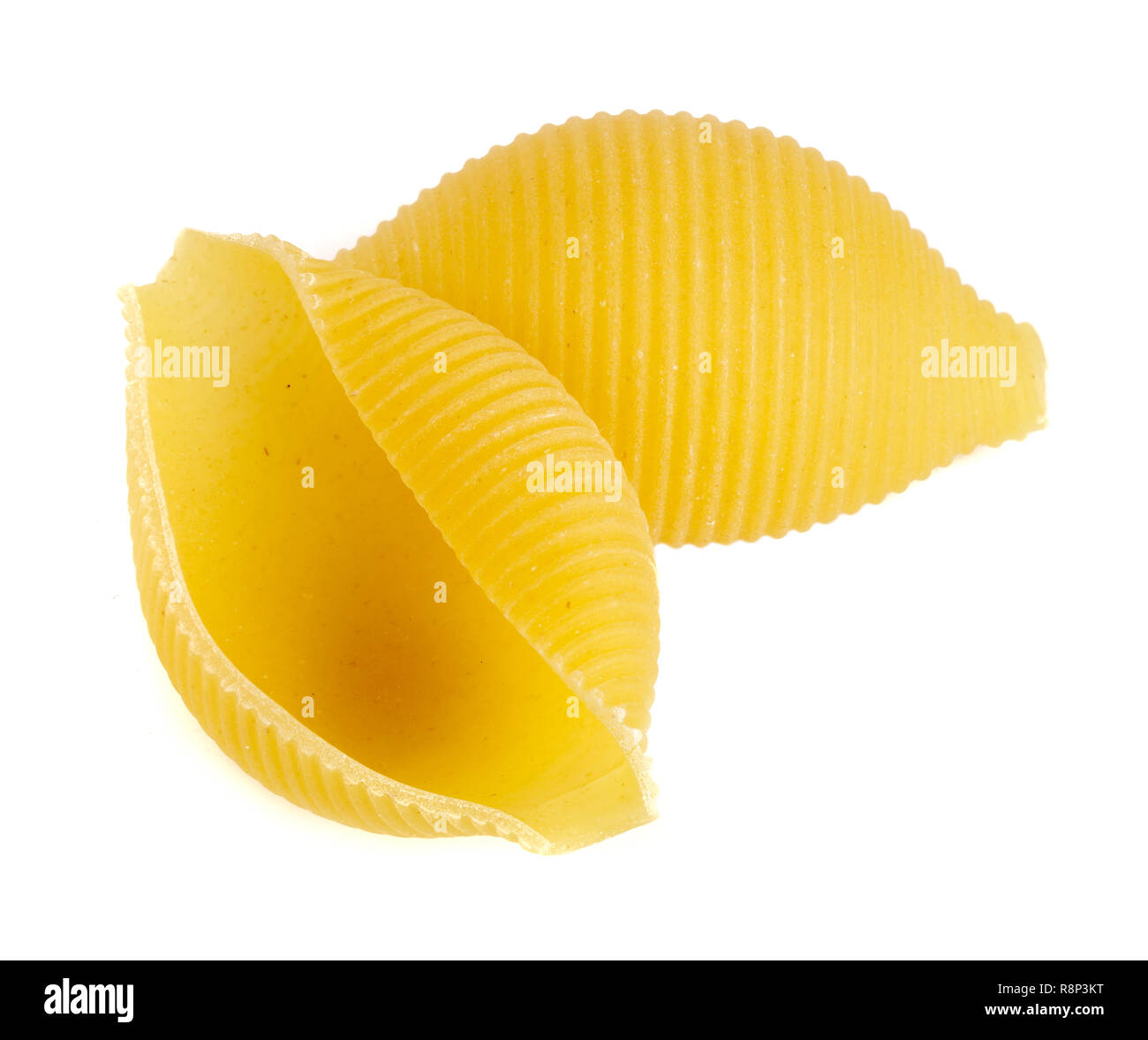 pasta in the shape of a shell isolated on white background close up ...