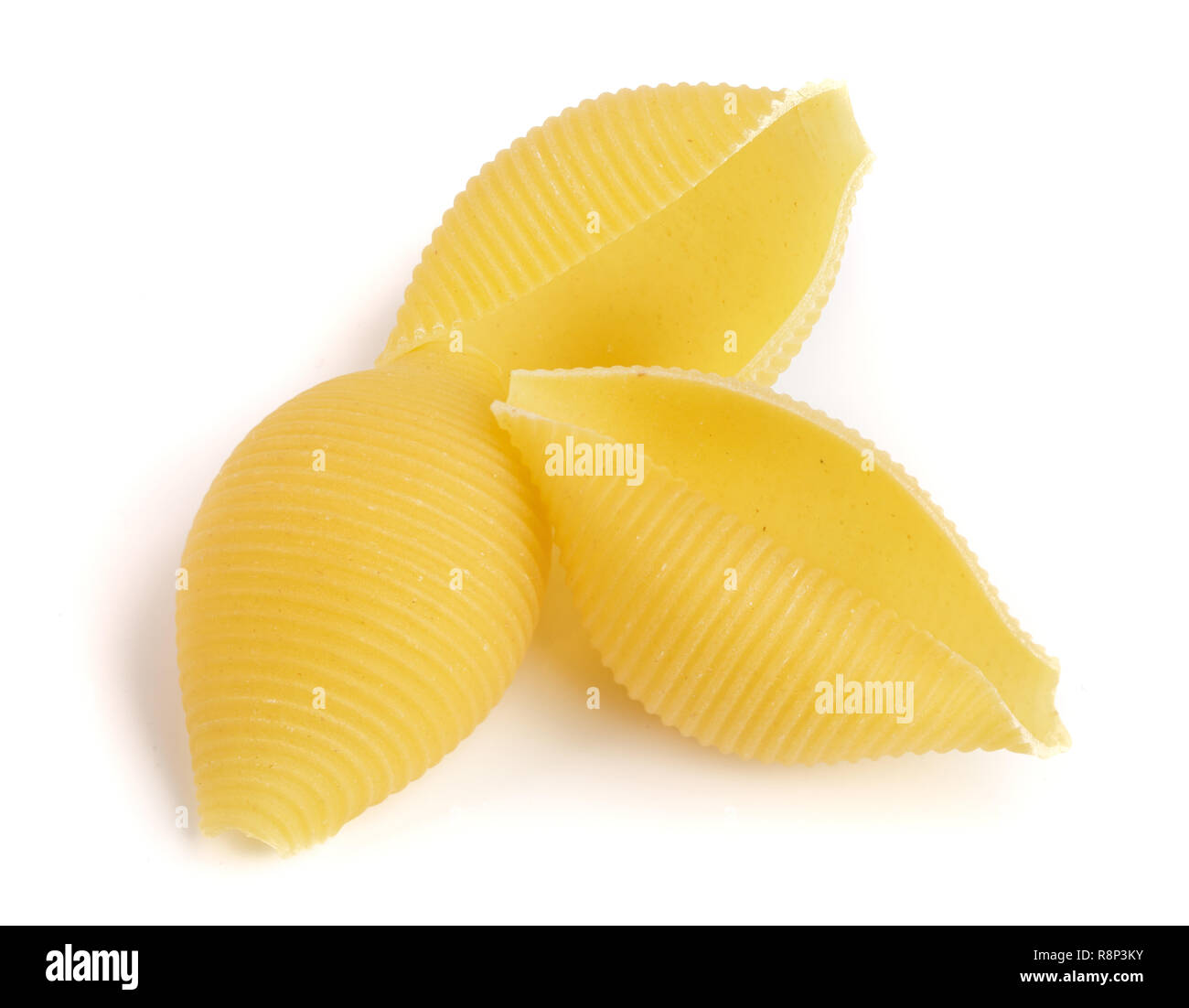 pasta in the shape of a shell isolated on white background close up ...