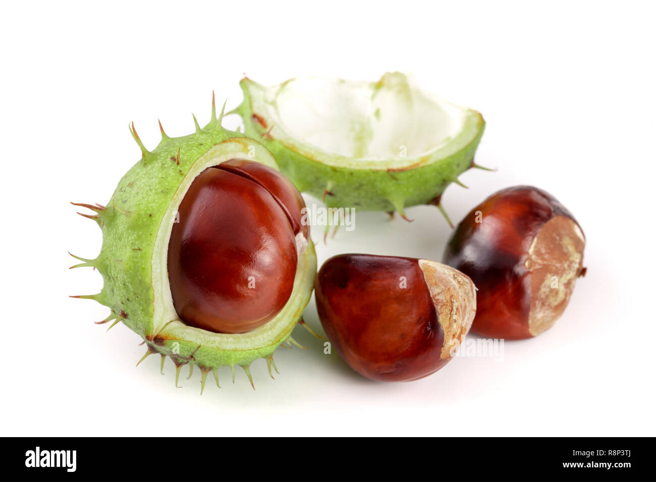 chestnut in the skin isolated on white background closeup Stock Photo ...
