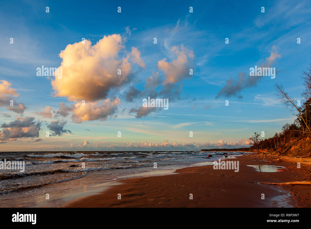 blue sky white clouds over calm body of water in summer with green ...
