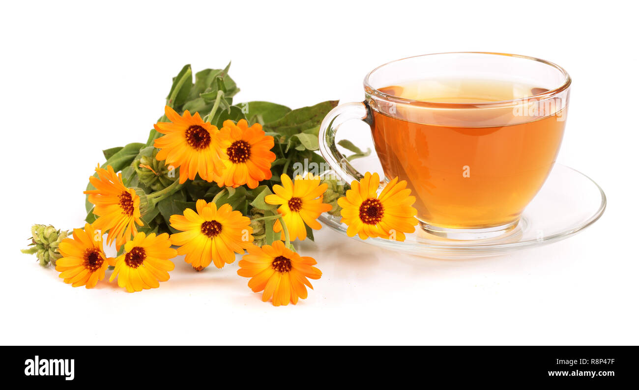 Calendula tea with fresh flowers isolated on white background Stock ...