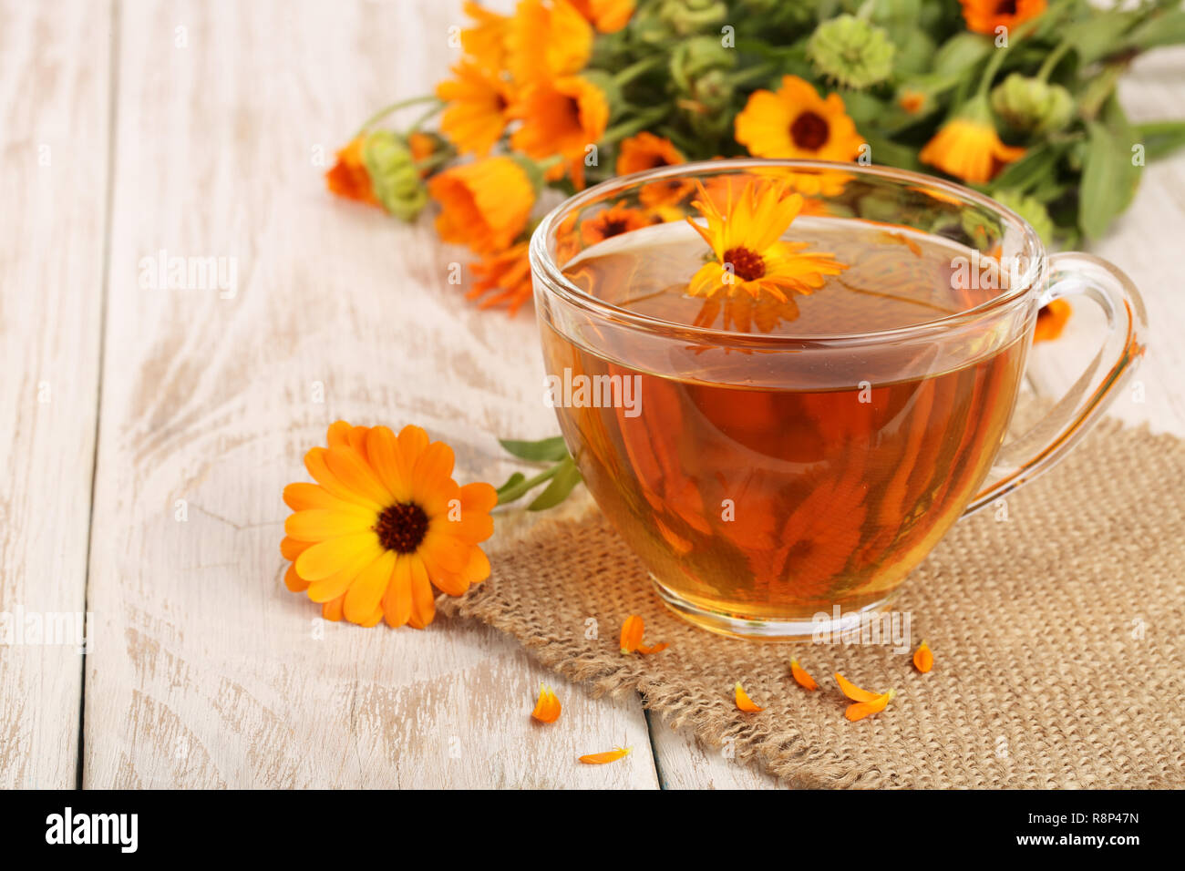 Calendula plant hi-res stock photography and images - Alamy